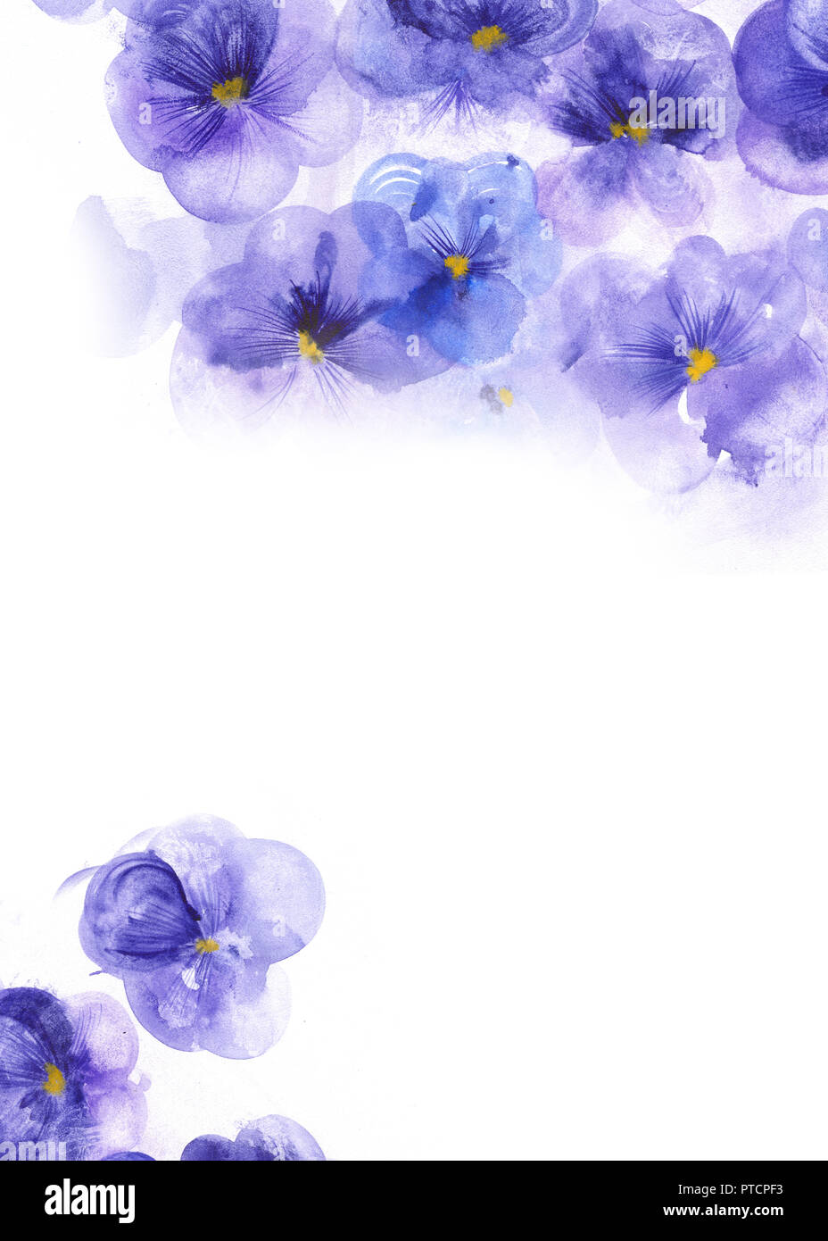 Purple flowers pansies. Template for the elegant design of invitations ...