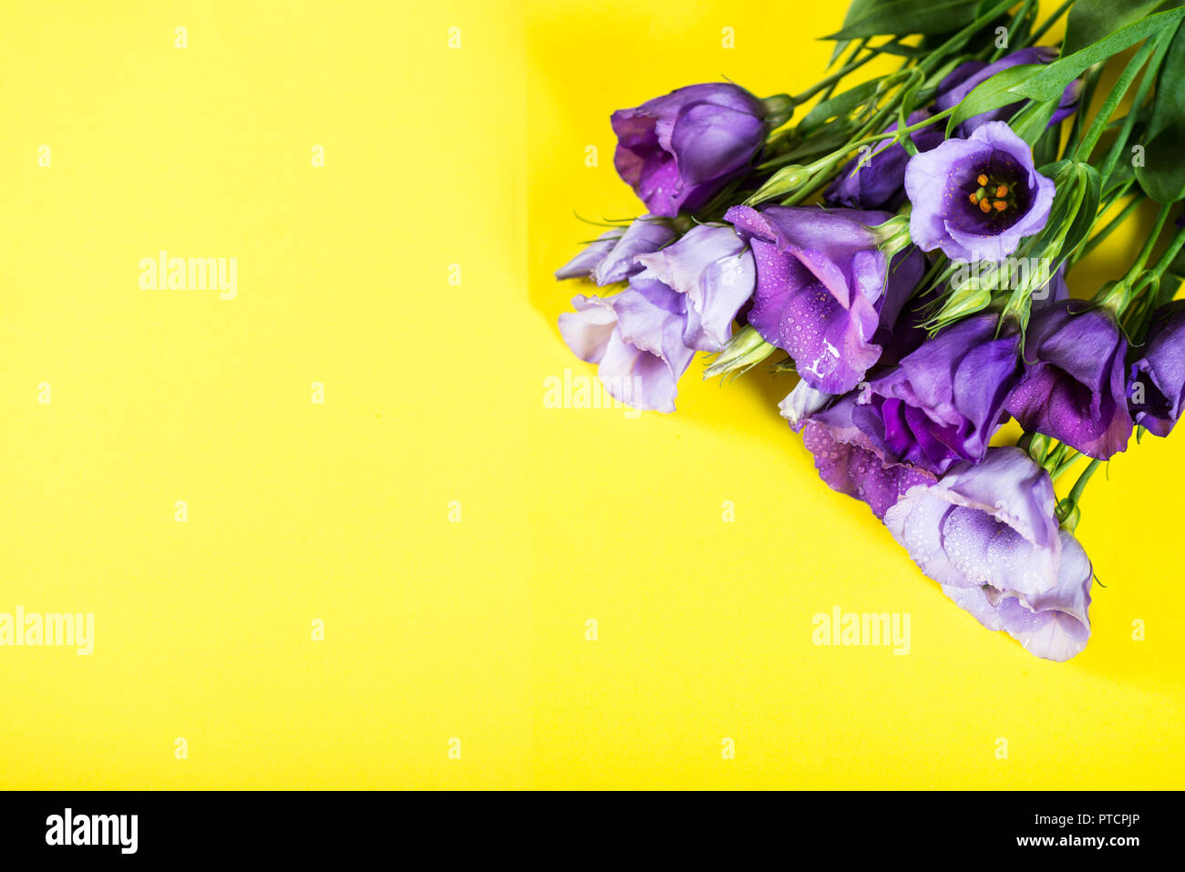 Beautiful Bouquet of Purple Eustoma flowers, Lisianthus, bright yellow ...