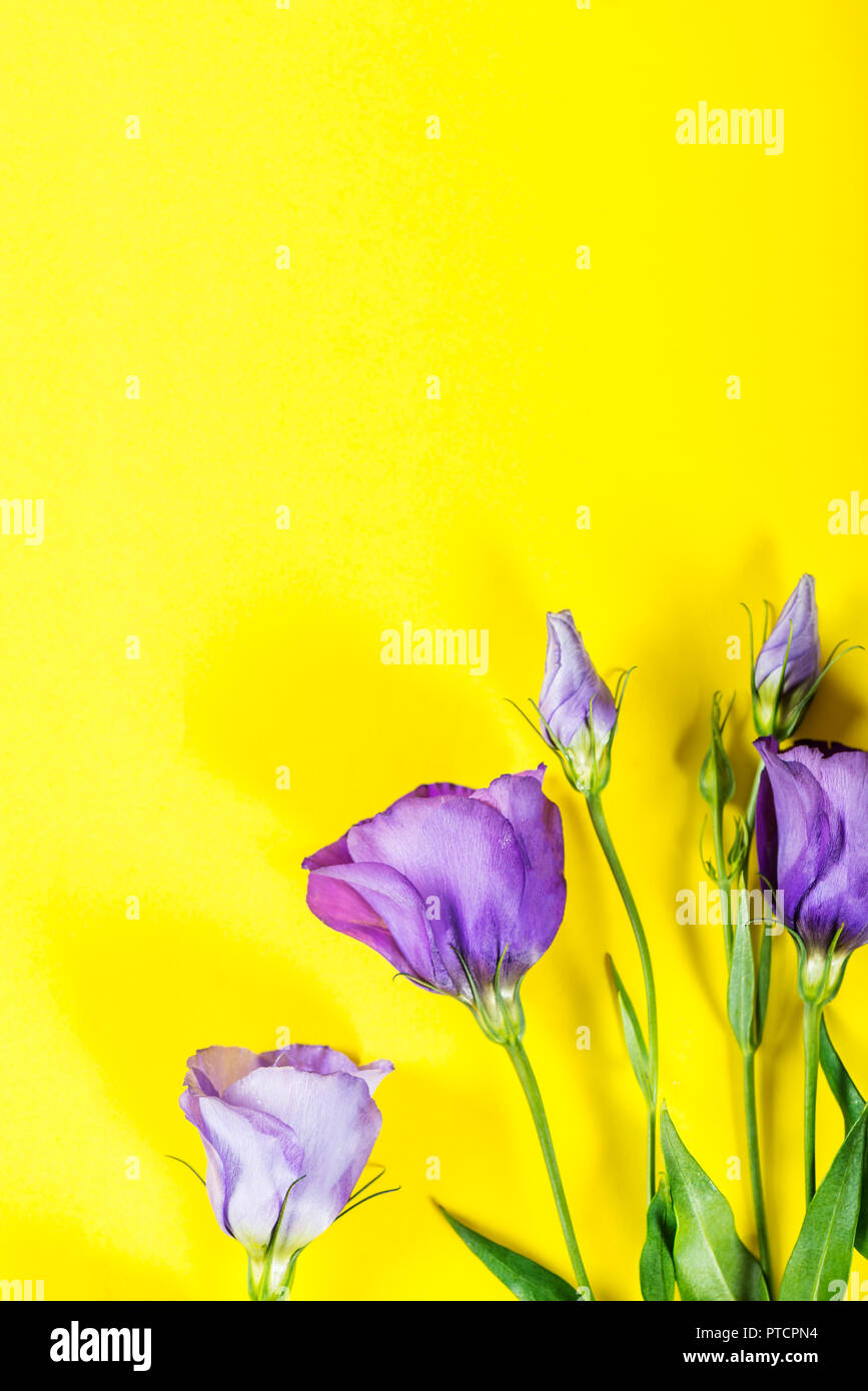 Beautiful Bouquet of Purple Eustoma flowers, Lisianthus, bright yellow ...