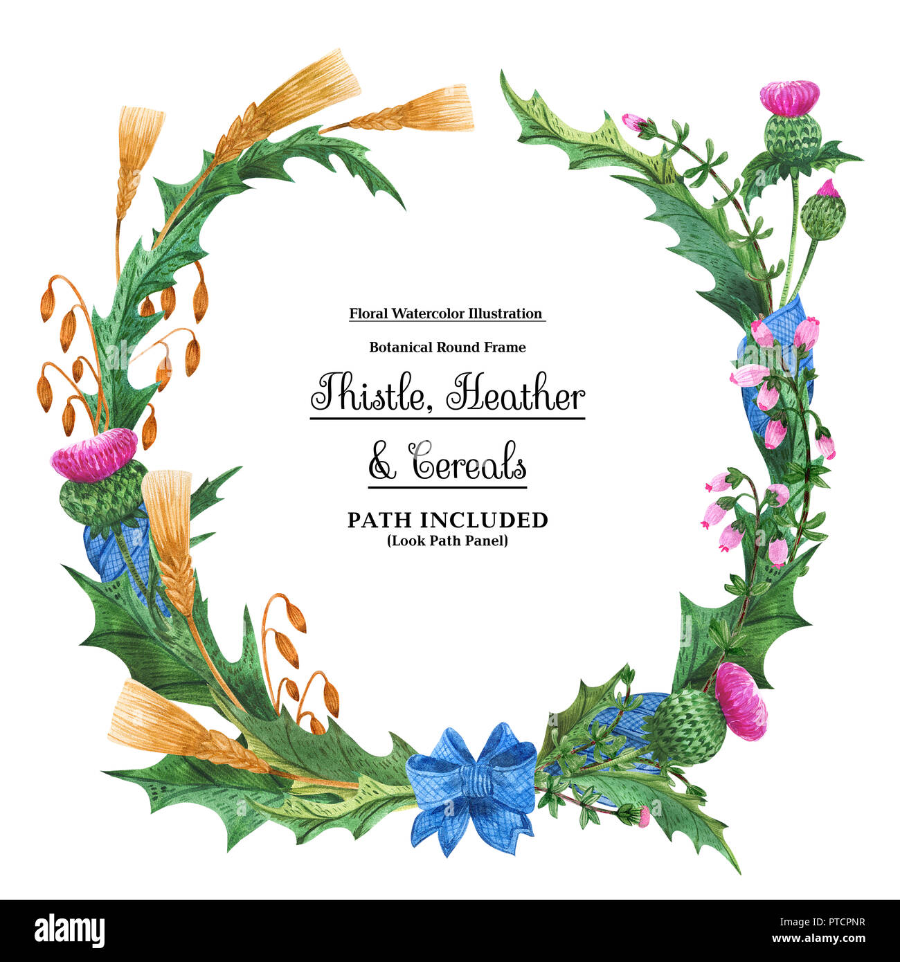 Heather border garden path Cut Out Stock Images & Pictures - Alamy