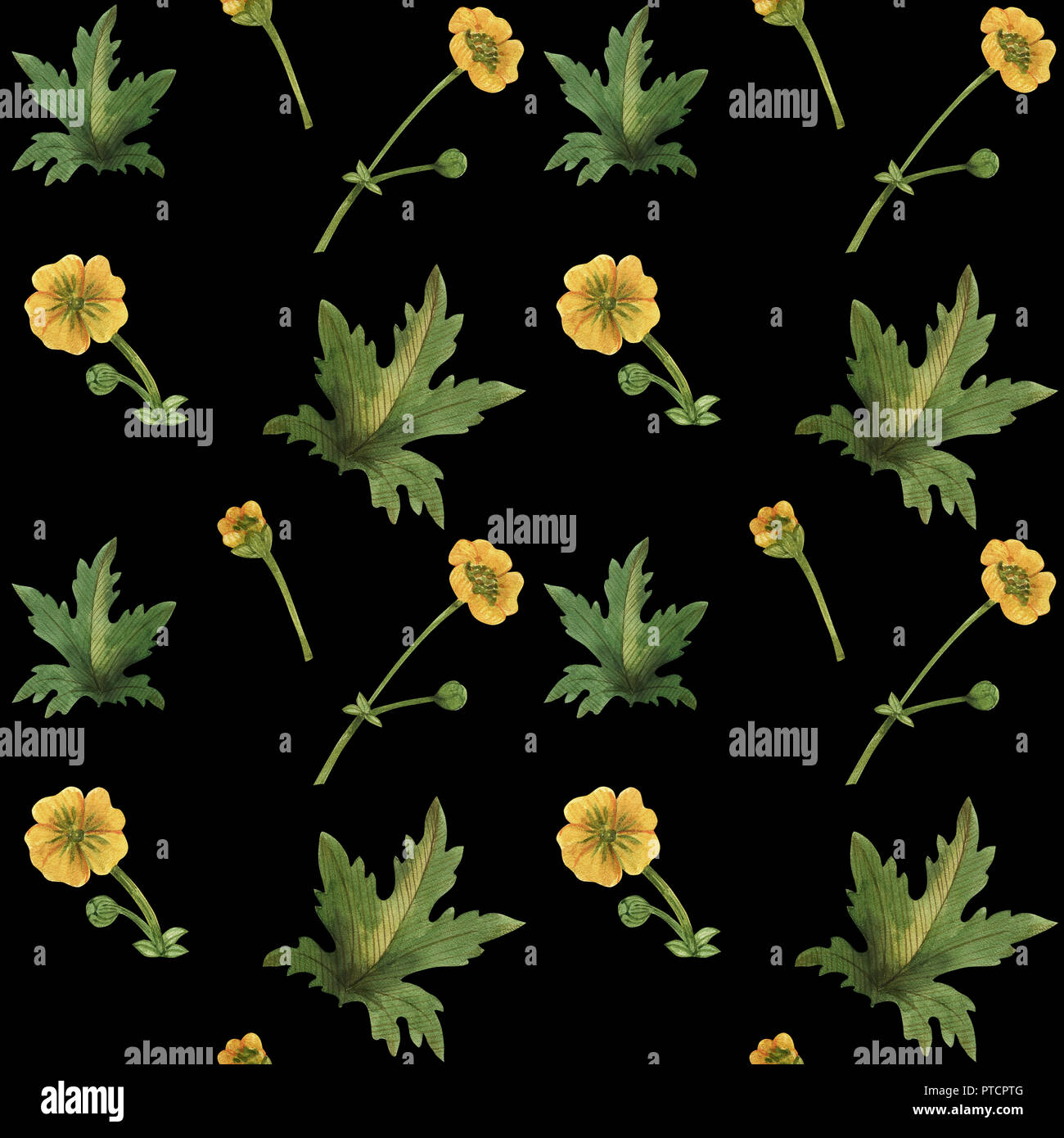Yellow buttercup seamless pattern. Watercolor on a black background ...