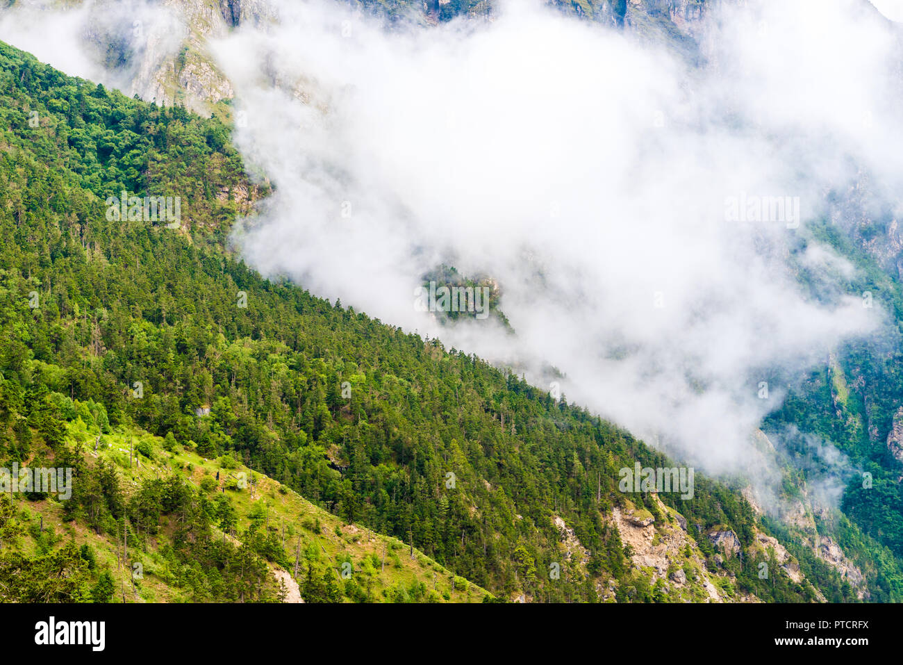 Nature view in Annapurna Conservation Area, a hotspot destination for ...