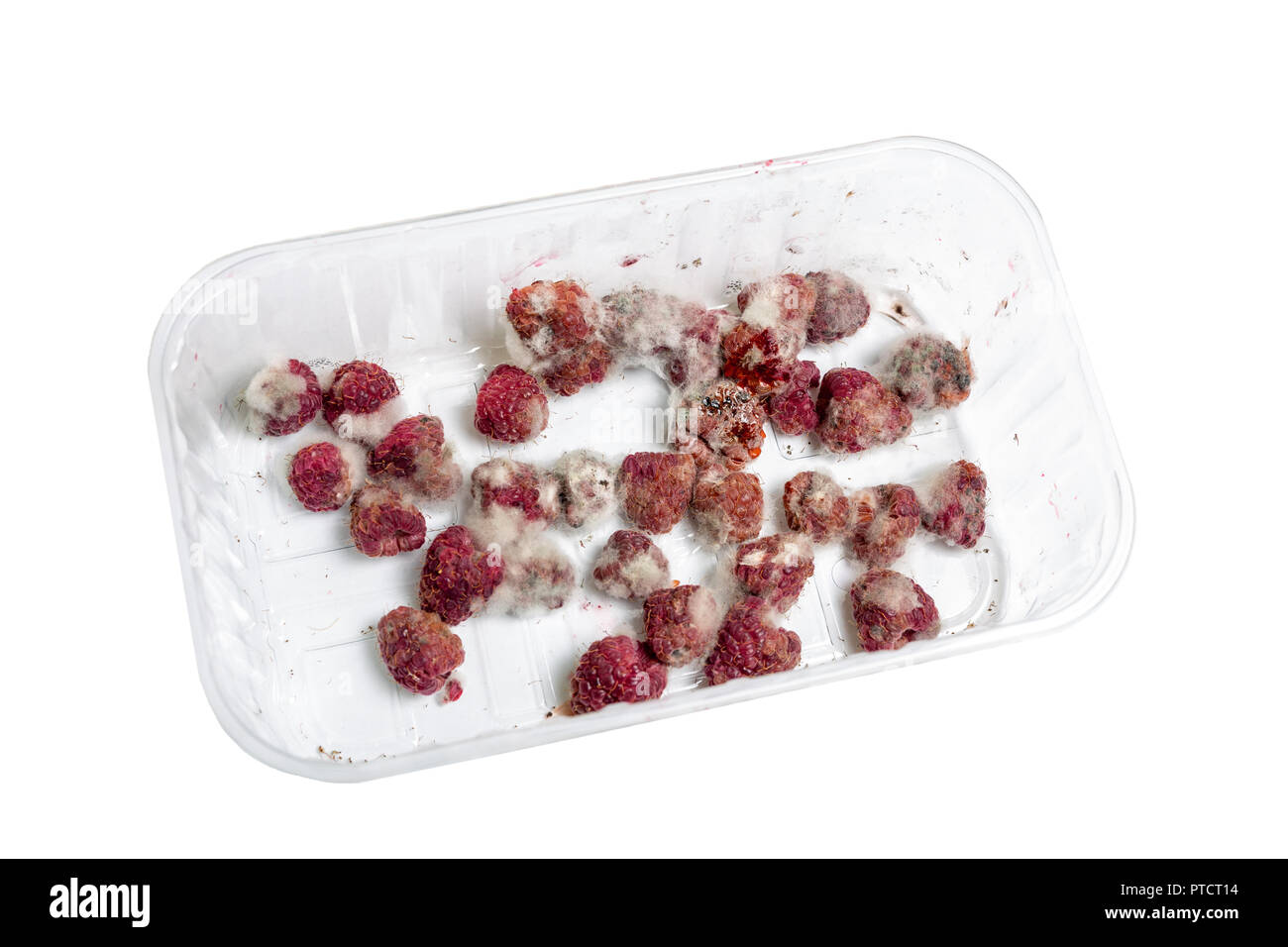 Close-up ripe red rotten raspberry with white grey mold on it. Spoiled ...