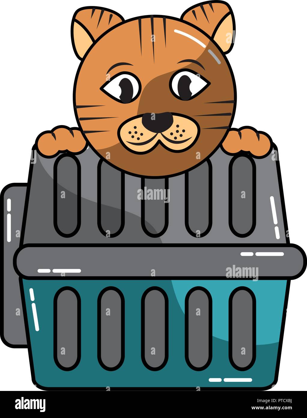 cute cat with transport box Stock Vector Image & Art - Alamy