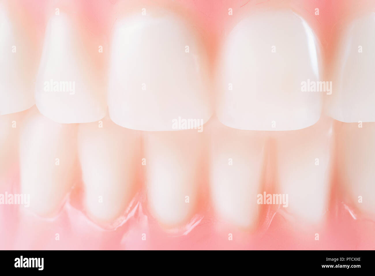 Tooth Surface Texture at John Rencher blog