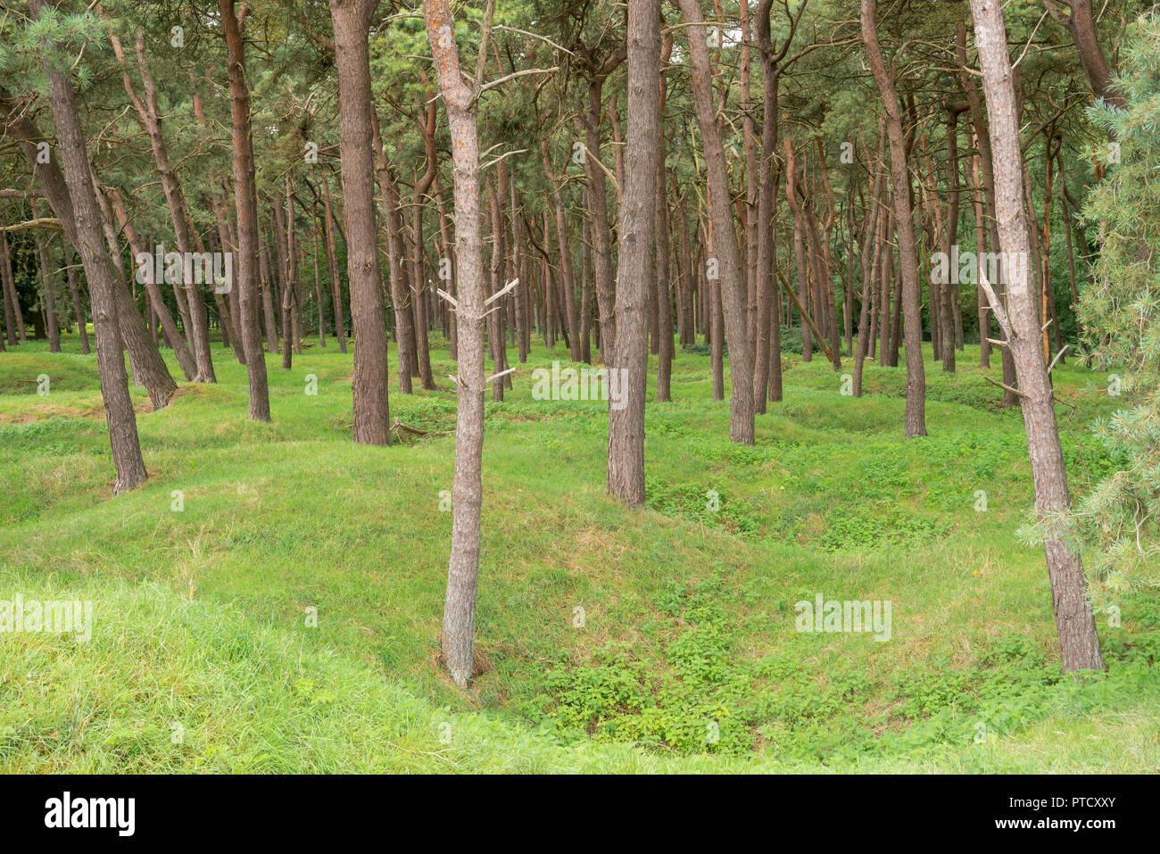 World war one aftermath hi-res stock photography and images - Alamy