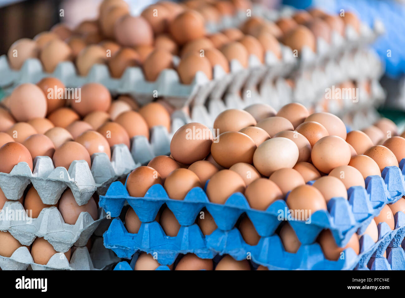 Eggs in trays hi-res stock photography and images - Alamy