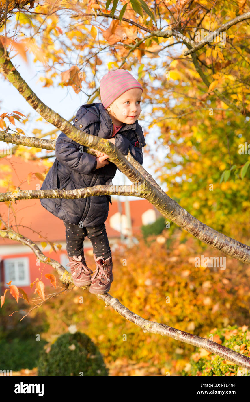Female climbing tree hi-res stock photography and images - Alamy
