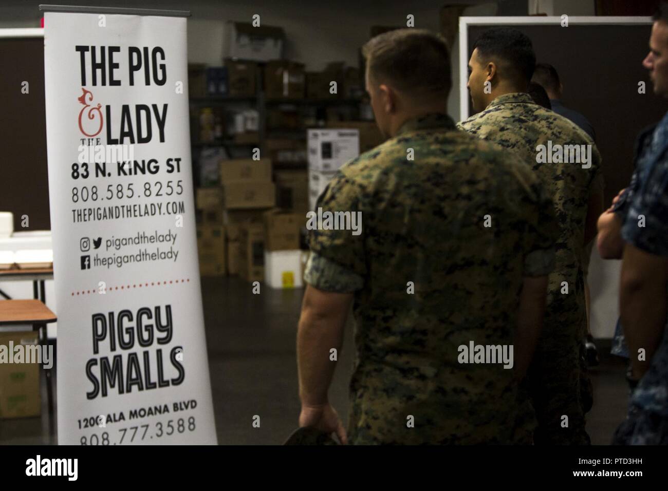 Donor pig hi-res stock photography and images - Alamy