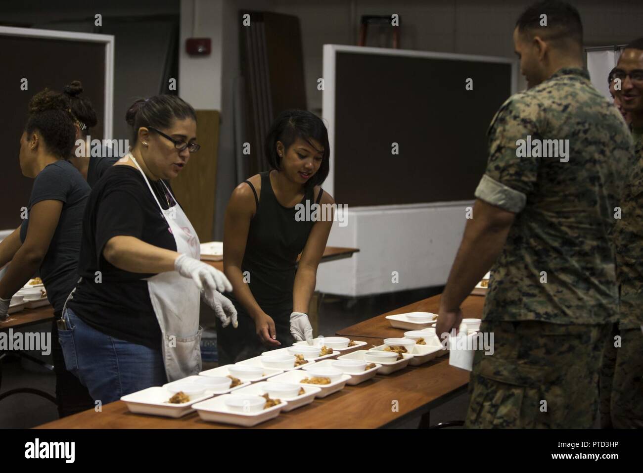 Donor pig hi-res stock photography and images - Alamy