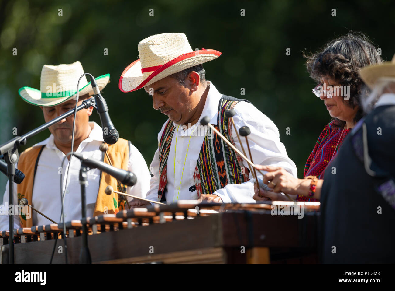 Xylophone parade hi-res stock photography and images - Alamy