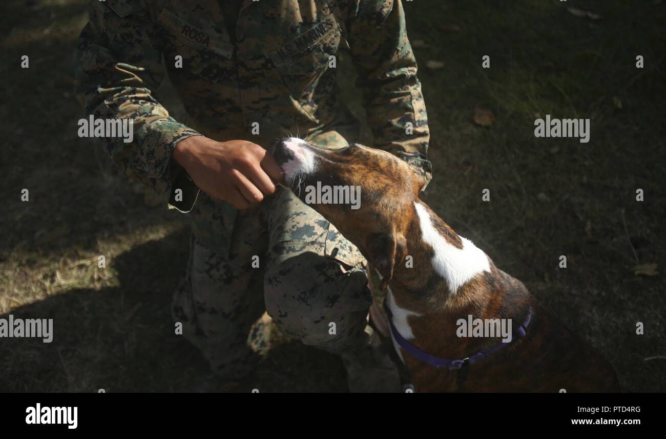 QUEENSLAND, Australia – Cpl. Jason Rosa, a team leader with Company L ...