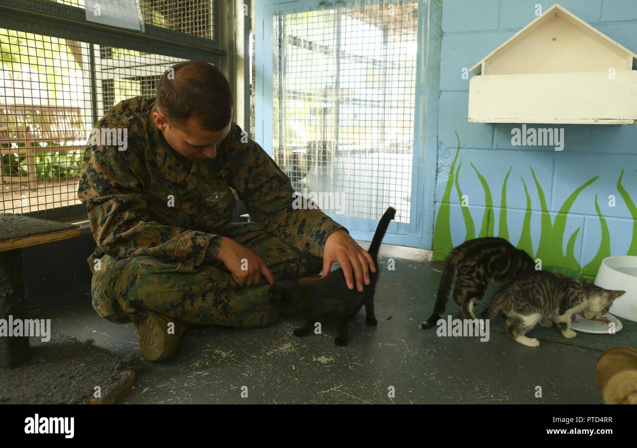 QUEENSLAND, Australia – HM3 Michael Donohue, senior line corpsman for ...