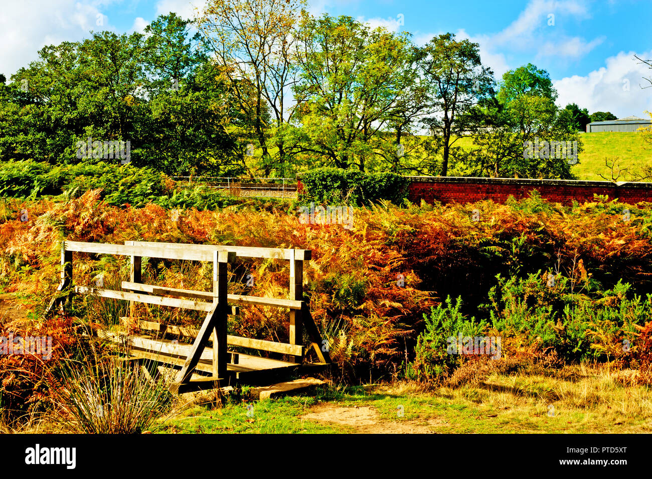 Moors england hi-res stock photography and images - Alamy