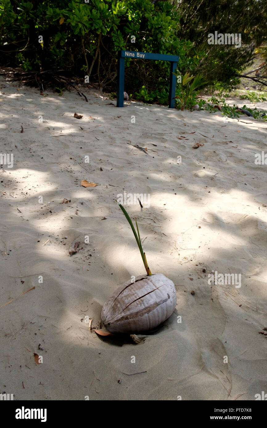 Hinchinbrook Island - The Thorsborne Trail Stock Photo - Alamy