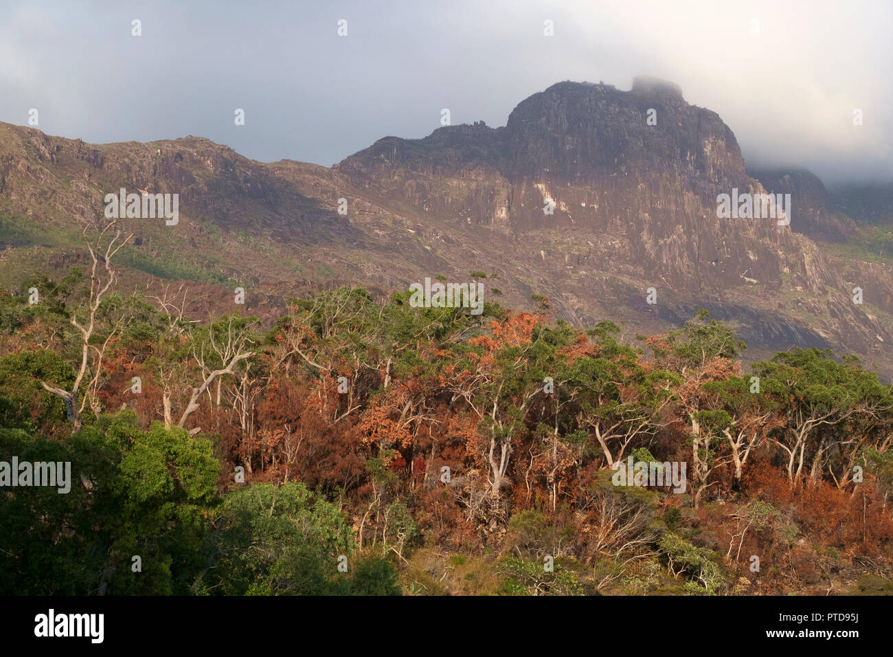 Hinchinbrook Island - The Thorsborne Trail - Little Ramsay Bay Stock ...