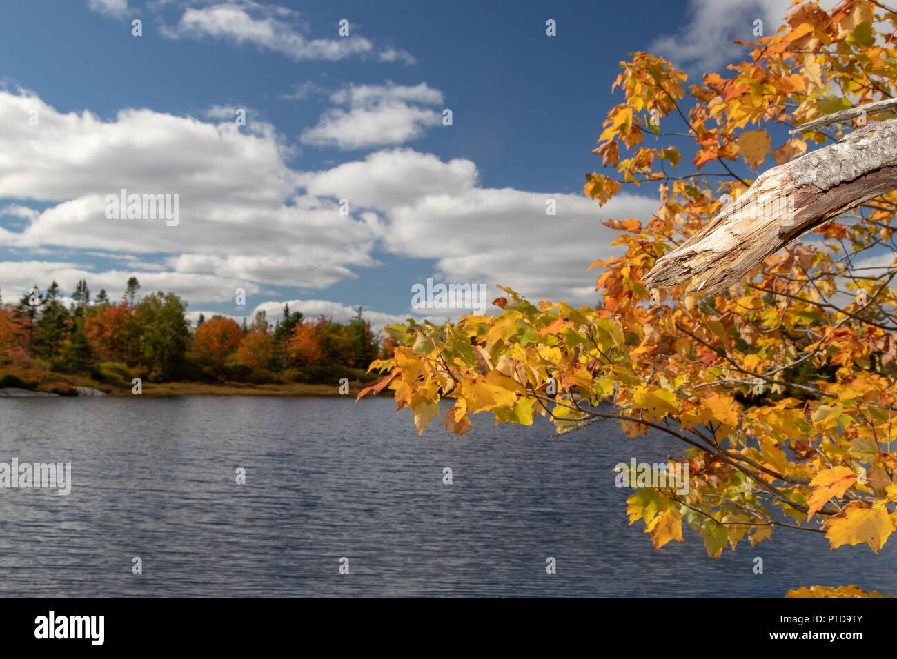 Halifax nova scotia autumn hi-res stock photography and images - Alamy