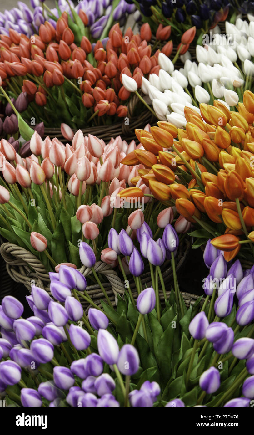 Dutch auction flowers hi-res stock photography and images - Alamy