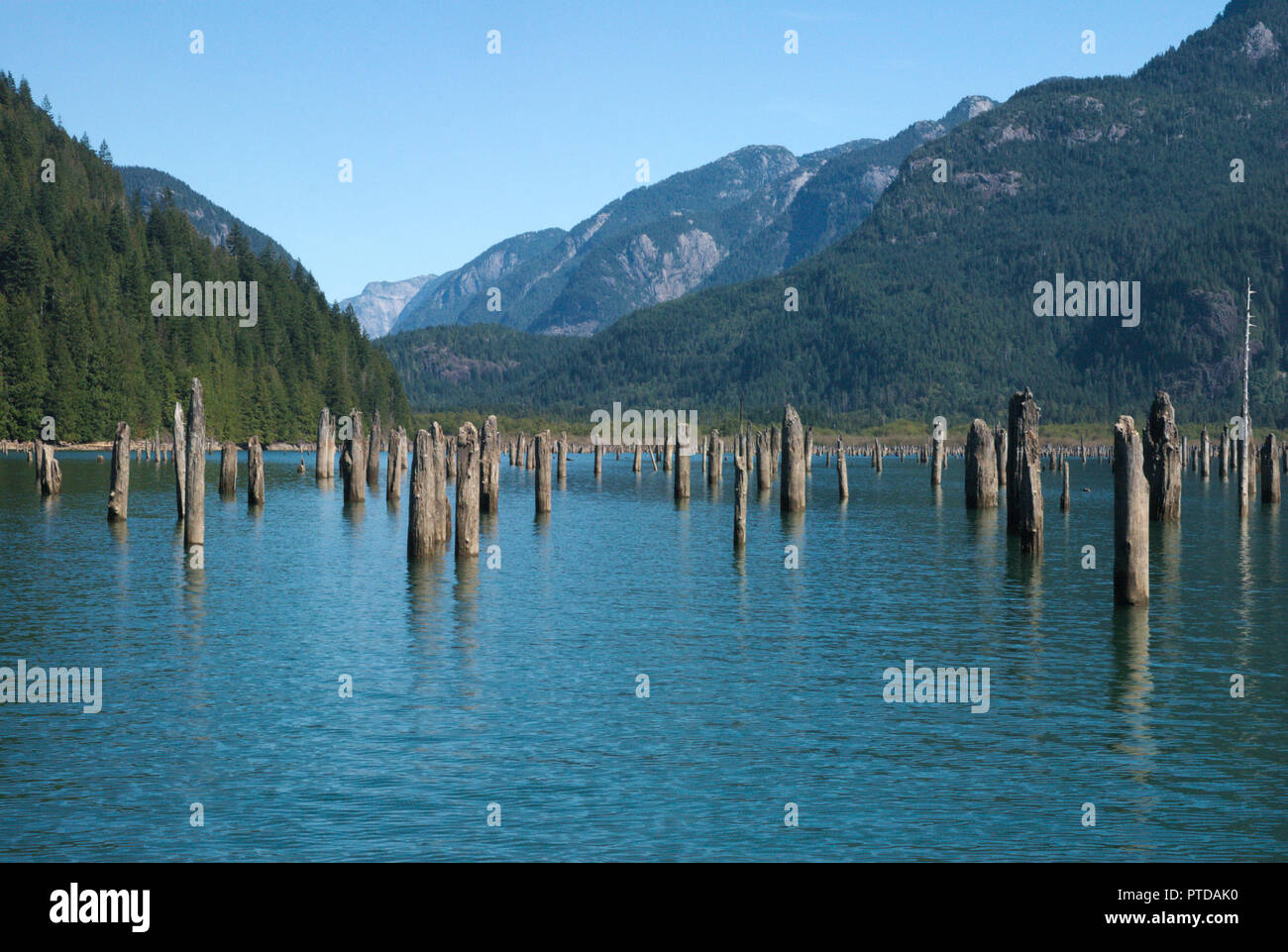 Stave River valley at the north end of Stave Lake in Mission, British ...