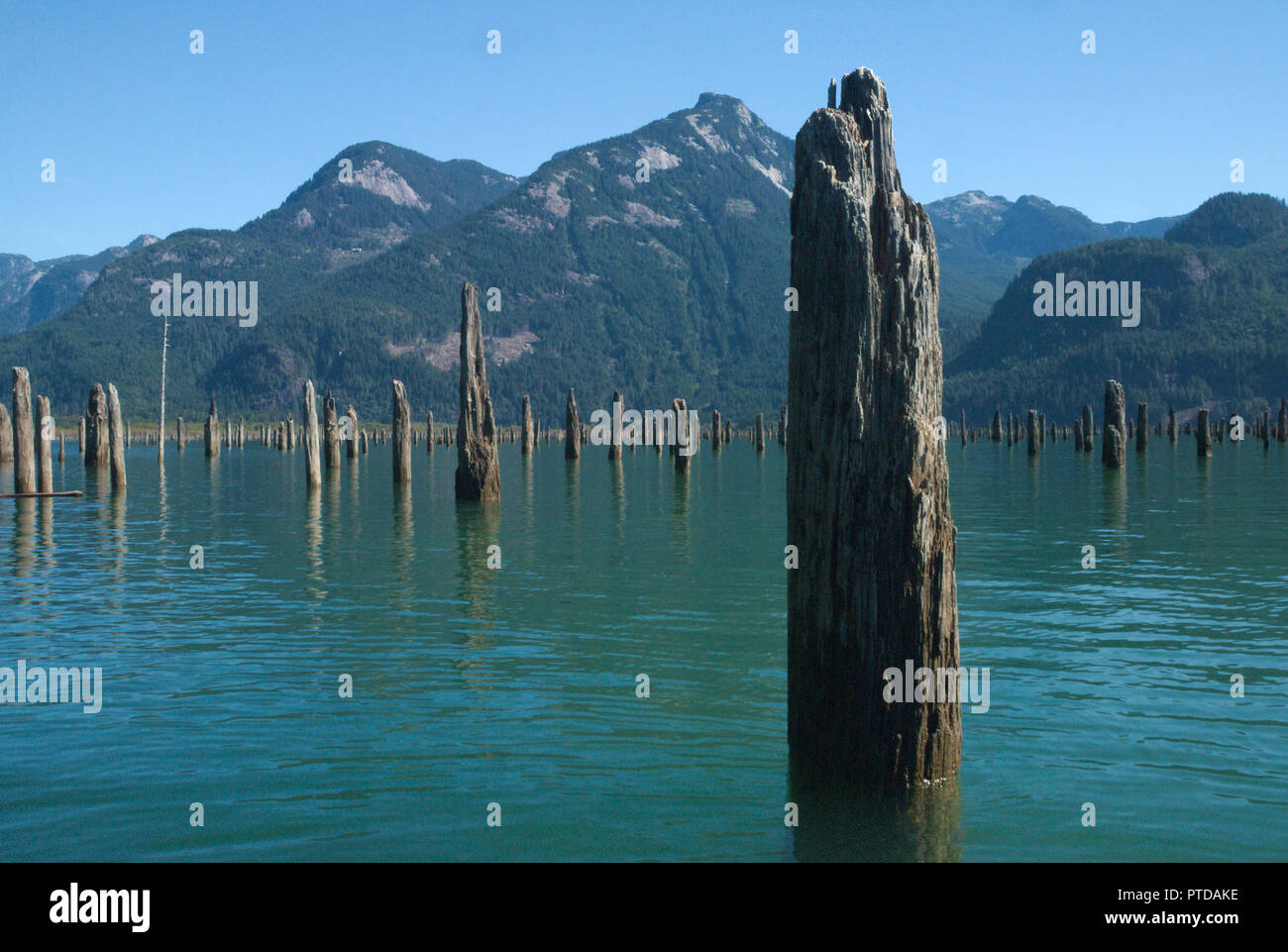 Stave River valley at the north end of Stave Lake in Mission, British ...