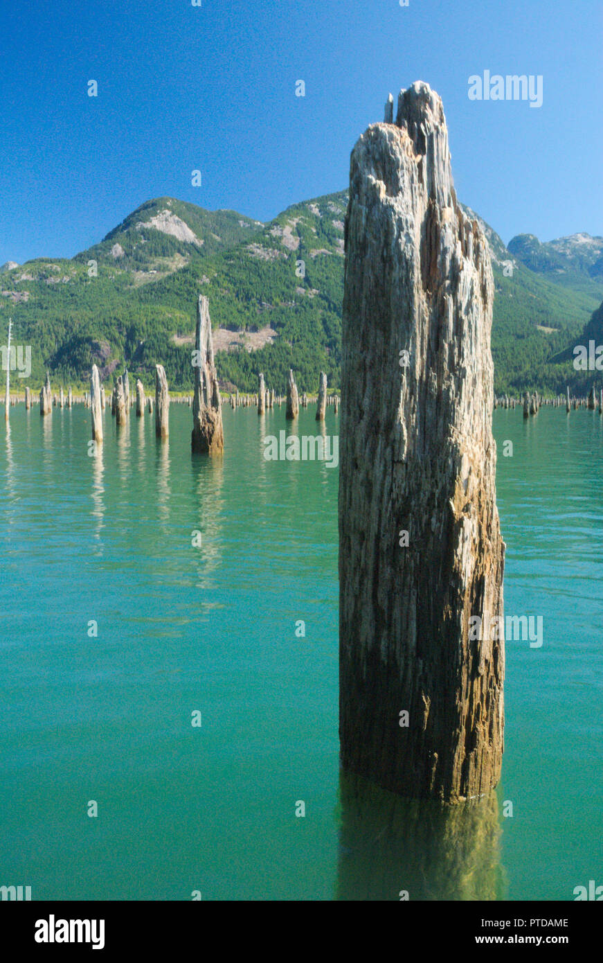 Stave River valley at the north end of Stave Lake in Mission, British ...