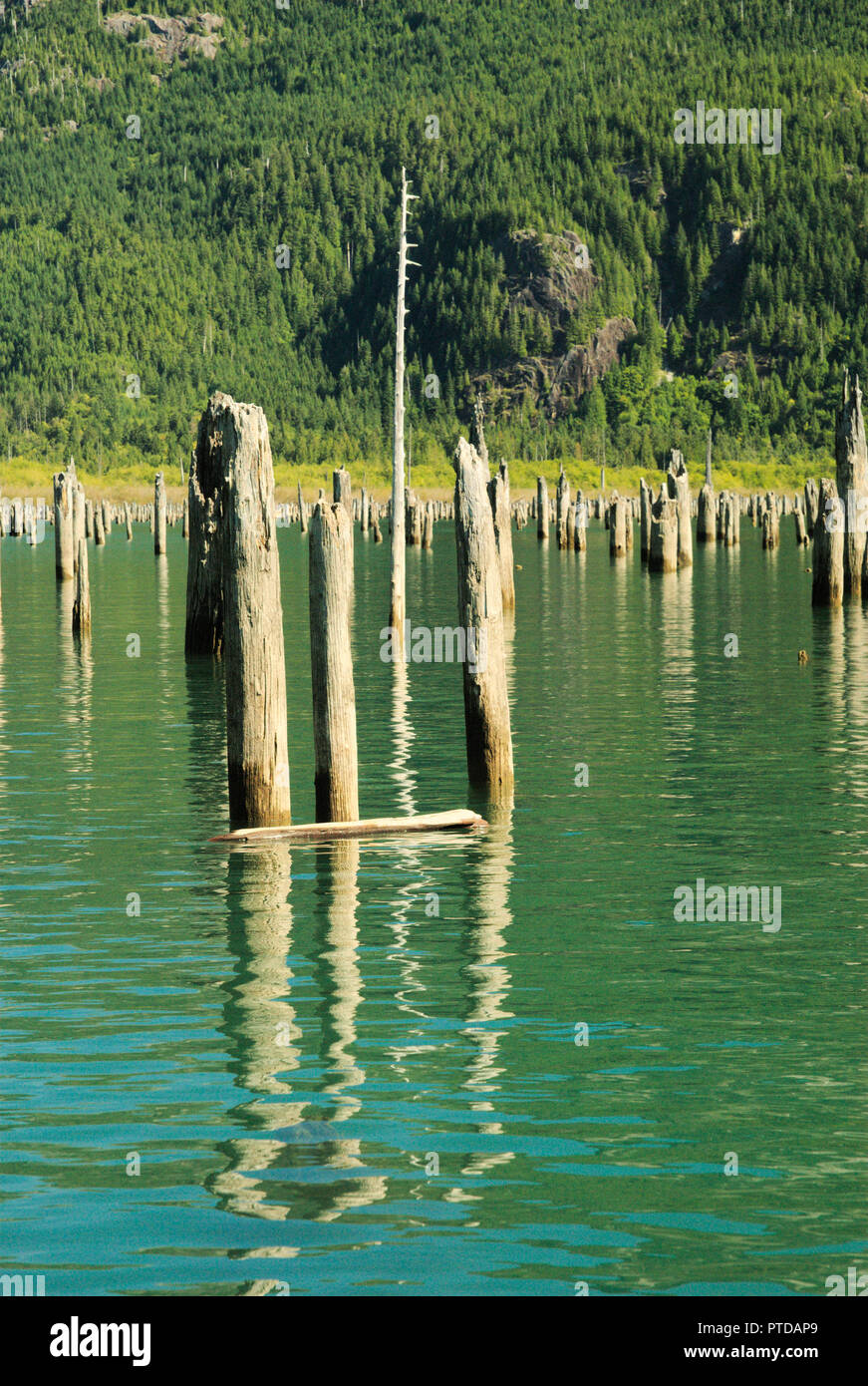 Stave River valley at the north end of Stave Lake in Mission, British ...