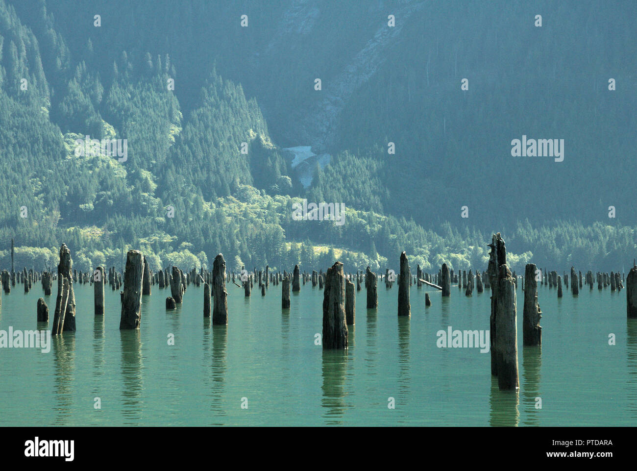 Stave River valley at the north end of Stave Lake in Mission, British ...