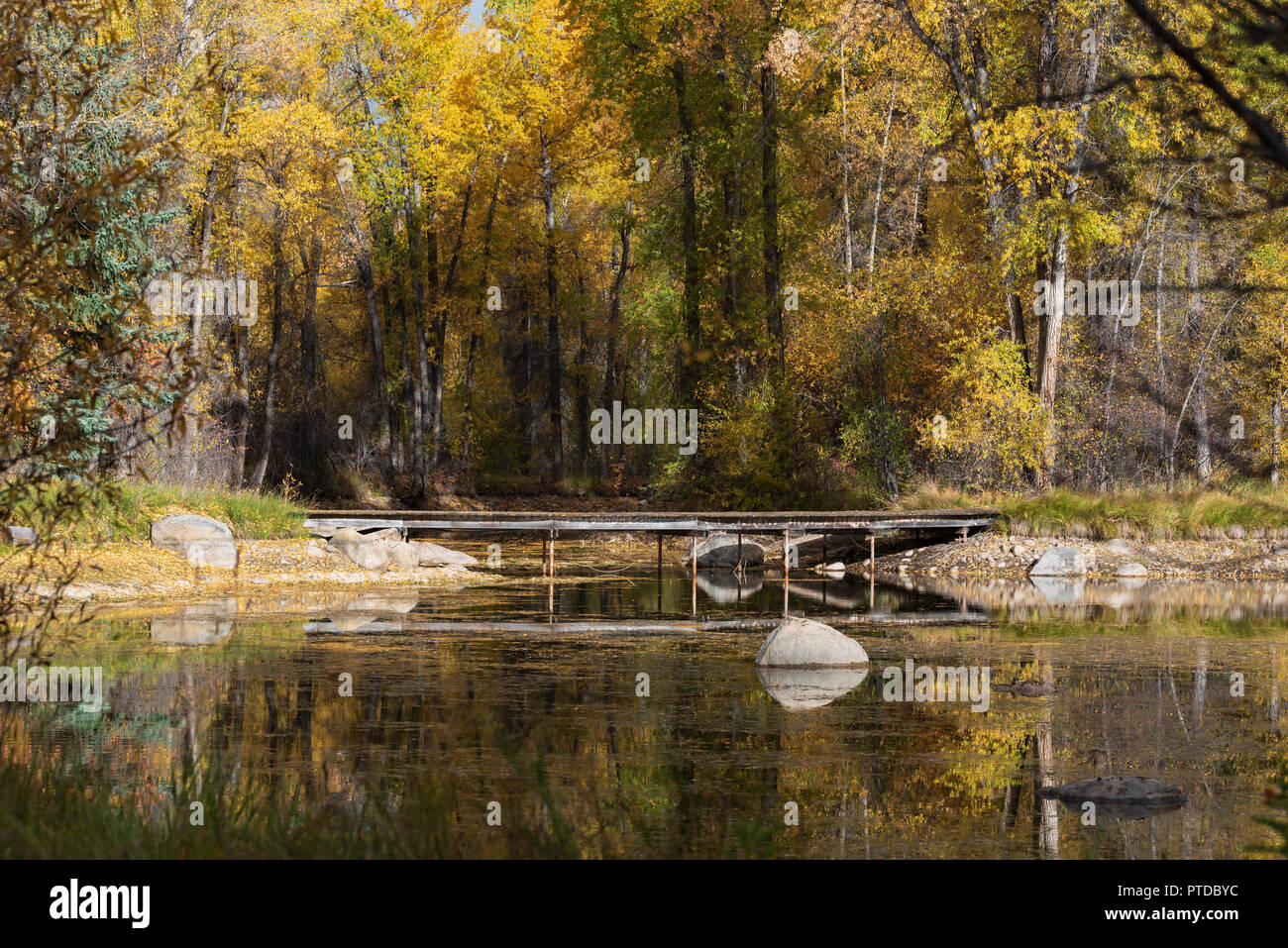 Aspen trees fall water reflections hi-res stock photography and images ...