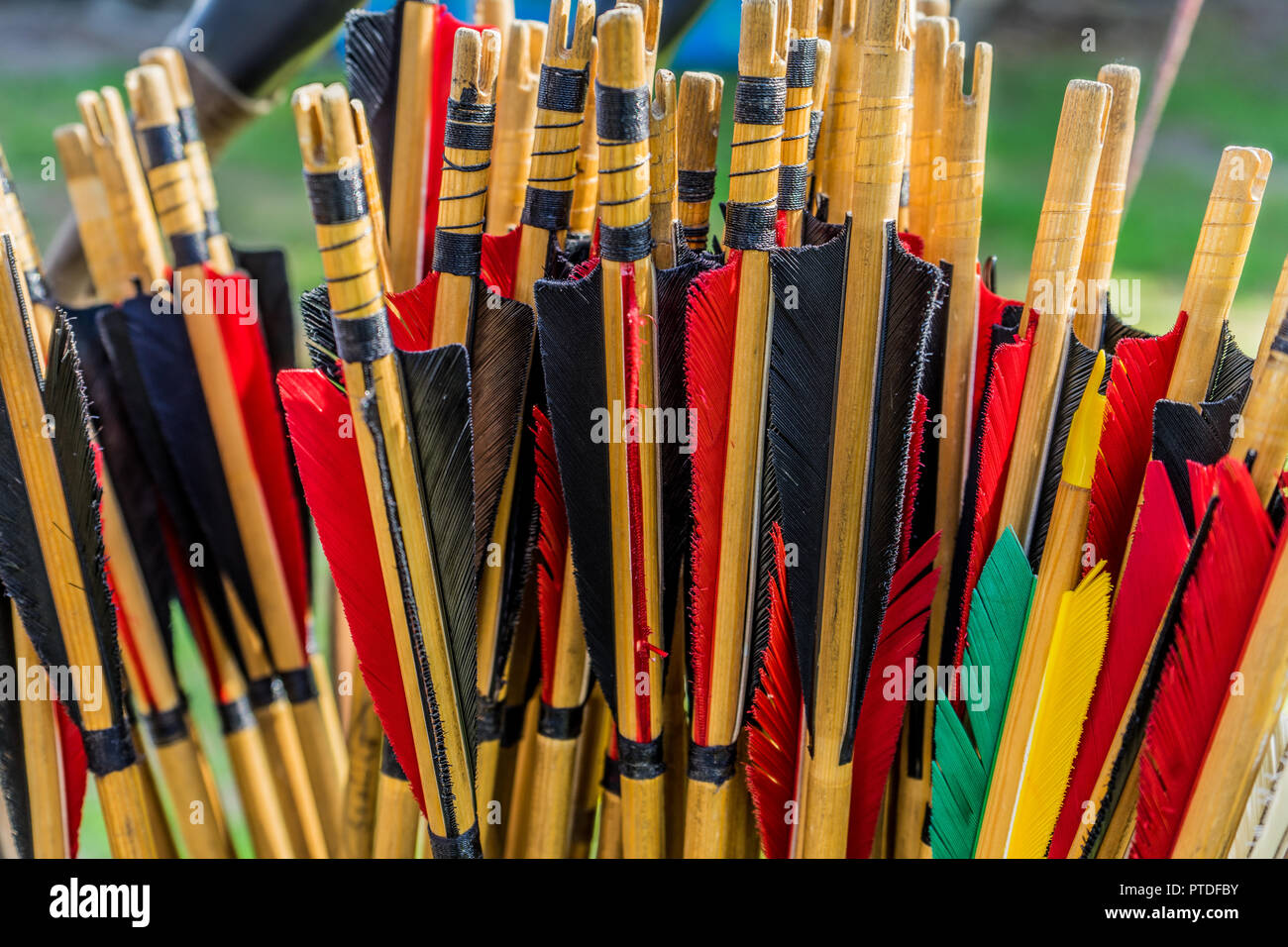 Colorful shafts of wooden arrows with real bird feathers for shooting ...