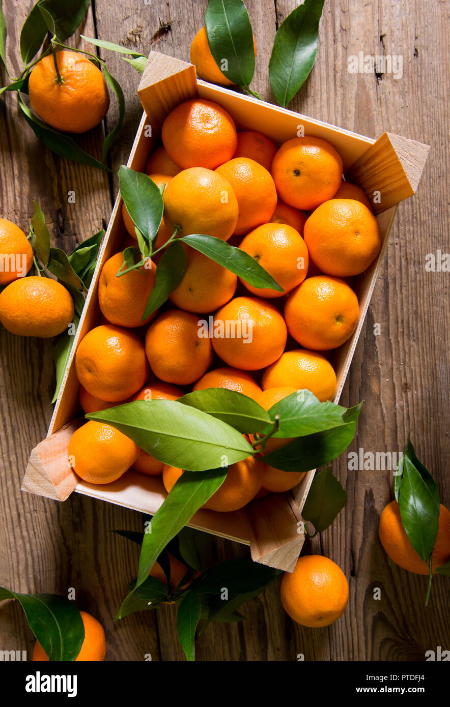 Fresh picked mandarins Stock Photo - Alamy