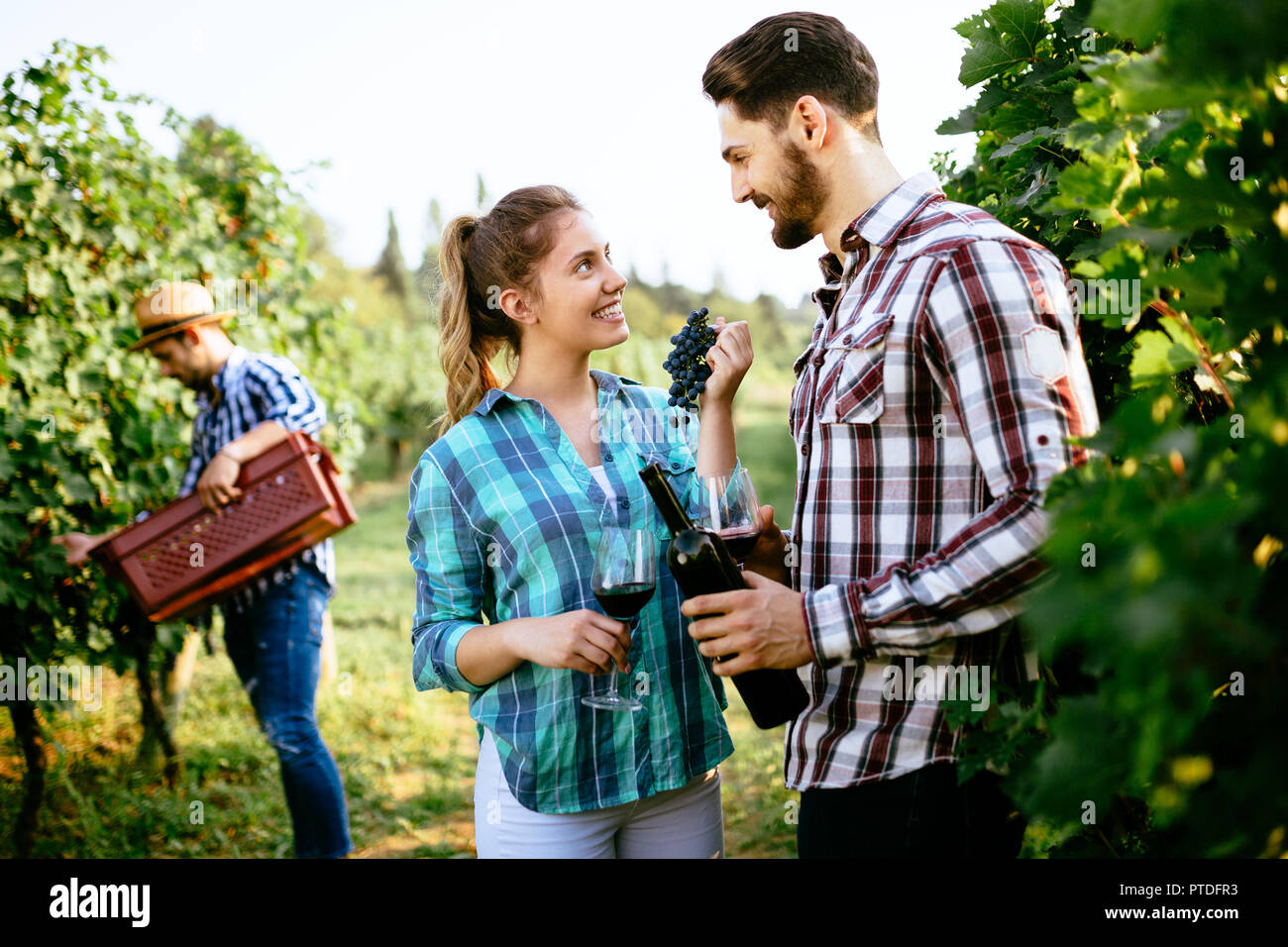 Wine tourists tasting wine in vineyard and talking Stock Photo - Alamy