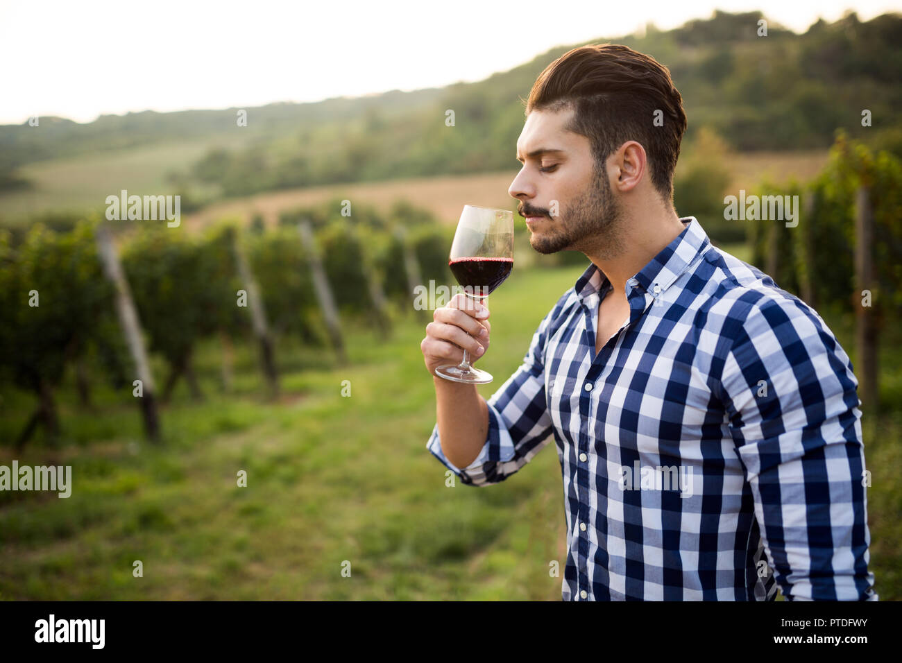 Wine growers tasting nice wine in vineyard Stock Photo - Alamy