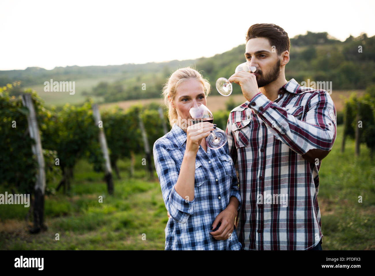 Wine growers tasting nice wine in vineyard Stock Photo - Alamy