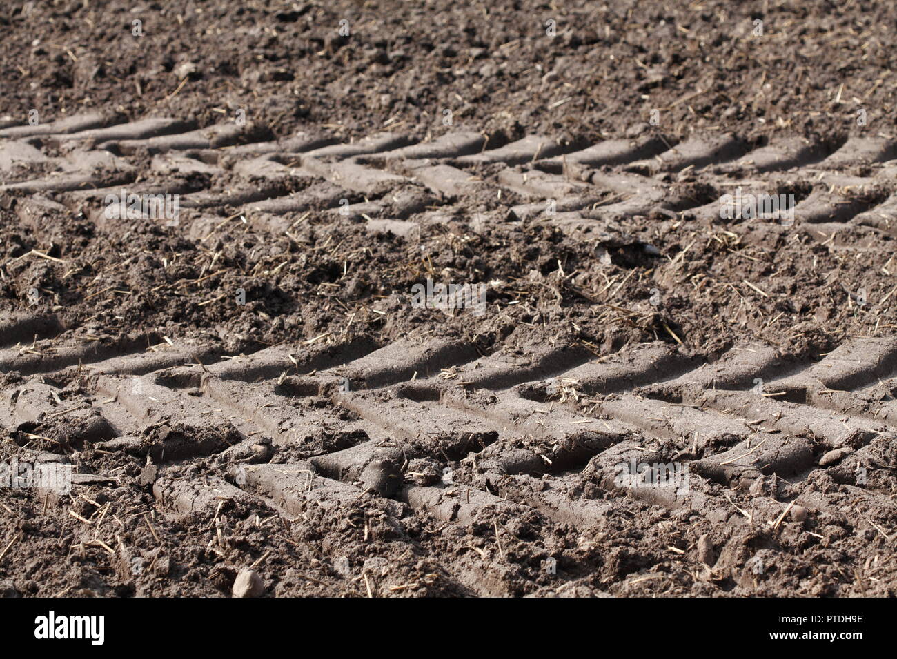 Plowed field fertilized with slurry and tire tracks, Lower Saxony ...