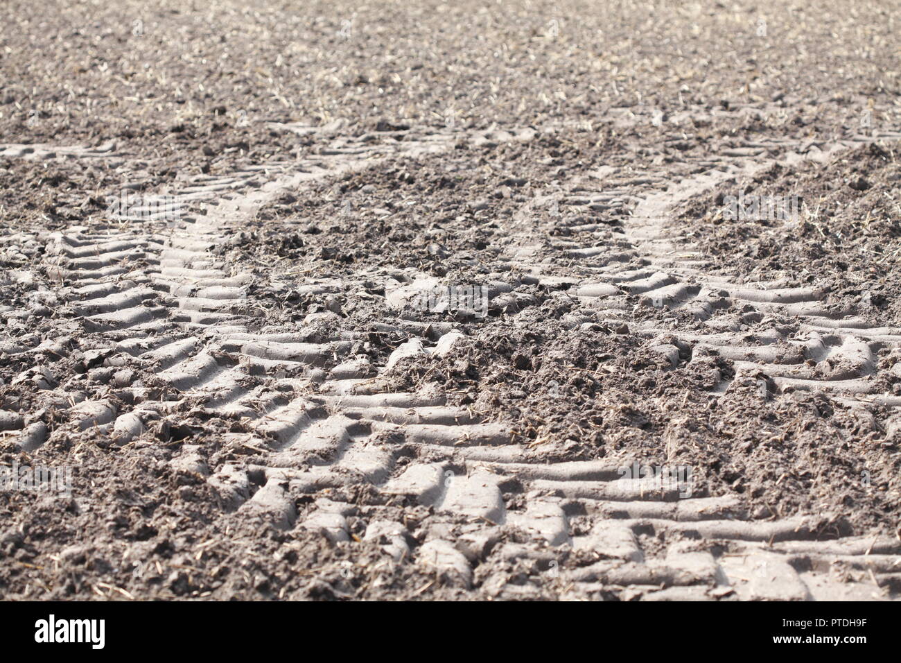 Plowed field fertilized with slurry and tire tracks, Lower Saxony ...