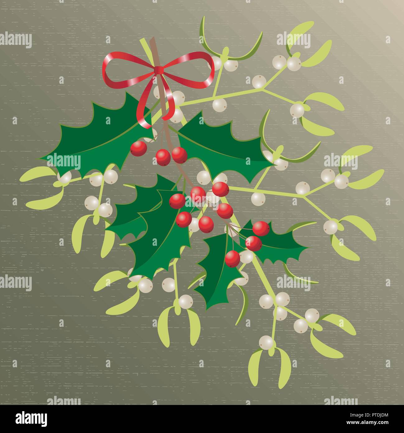 Mistletoe Branch Vector