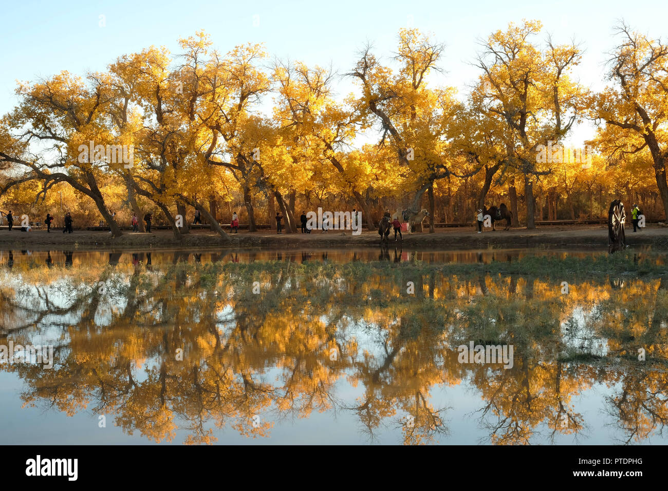 Inner Mongolia, Inner Mongolia, China. 9th Oct, 2018. Inner Mongolia ...