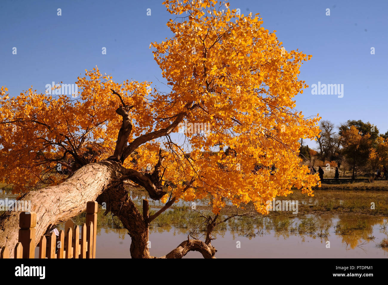 Inner Mongolia, Inner Mongolia, China. 9th Oct, 2018. Inner Mongolia ...