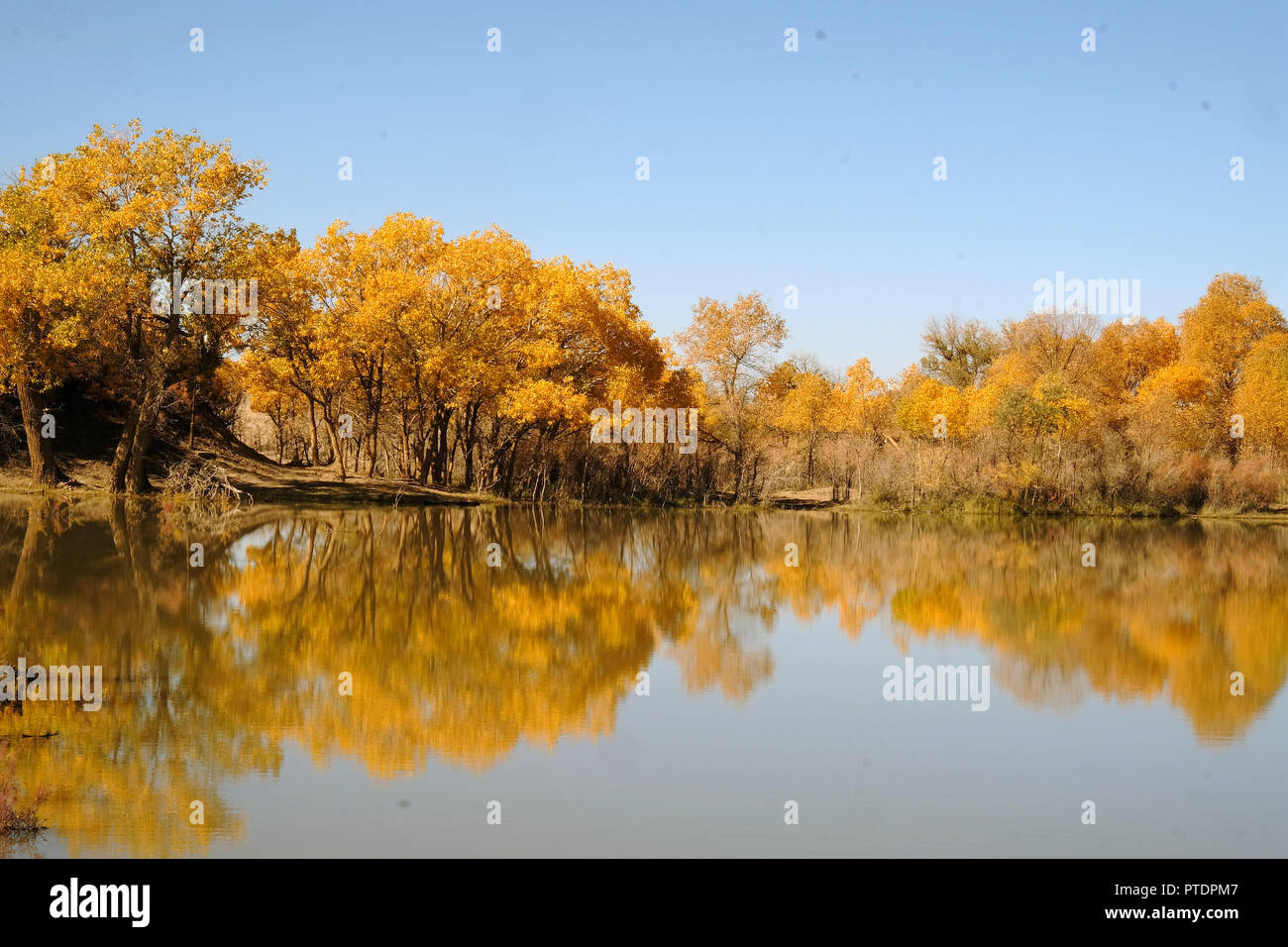 Inner Mongolia, Inner Mongolia, China. 9th Oct, 2018. Inner Mongolia ...