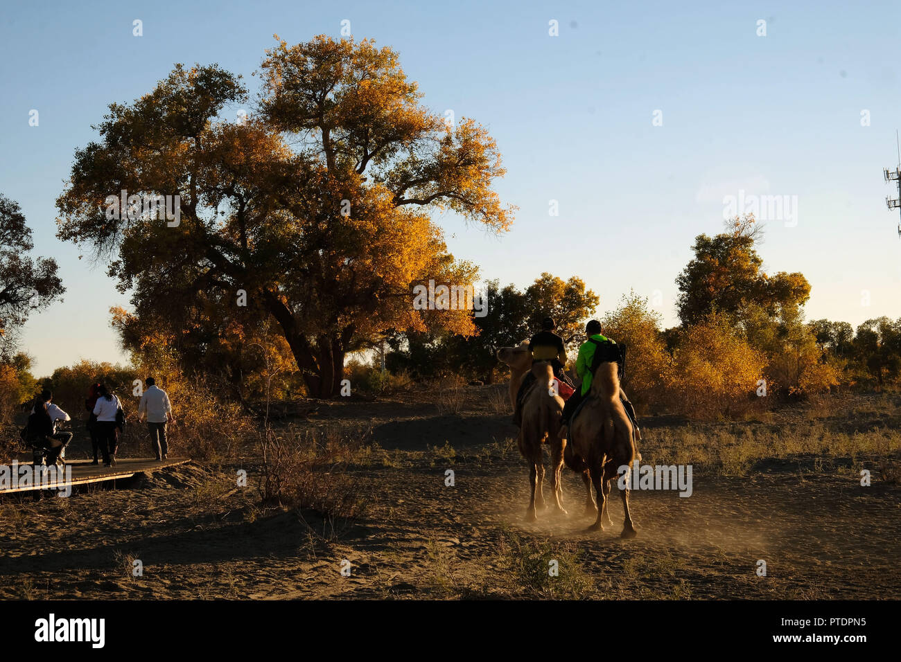 Inner Mongolia, Inner Mongolia, China. 9th Oct, 2018. Inner Mongolia ...