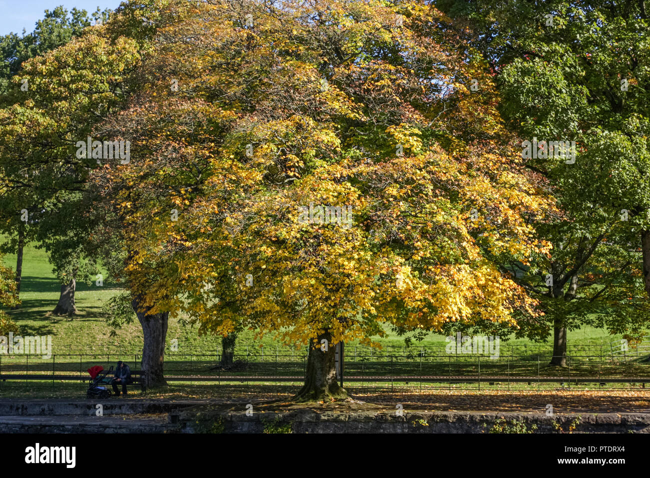 Cyfarthfa park hi-res stock photography and images - Alamy