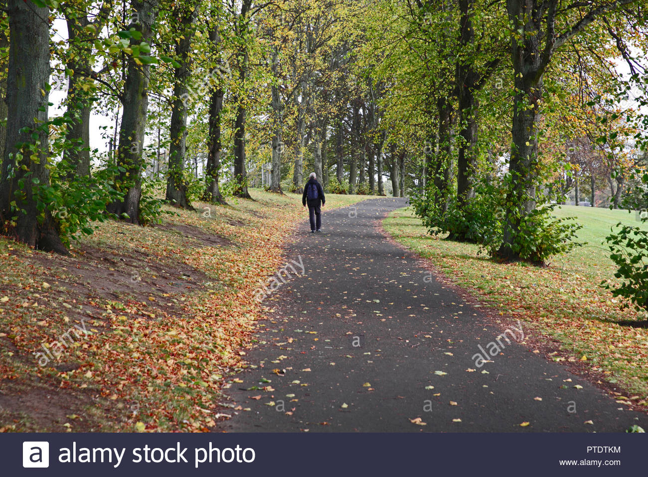 Edinburgh, United Kingdom. 9th October, 2018. Autumn colours in ...