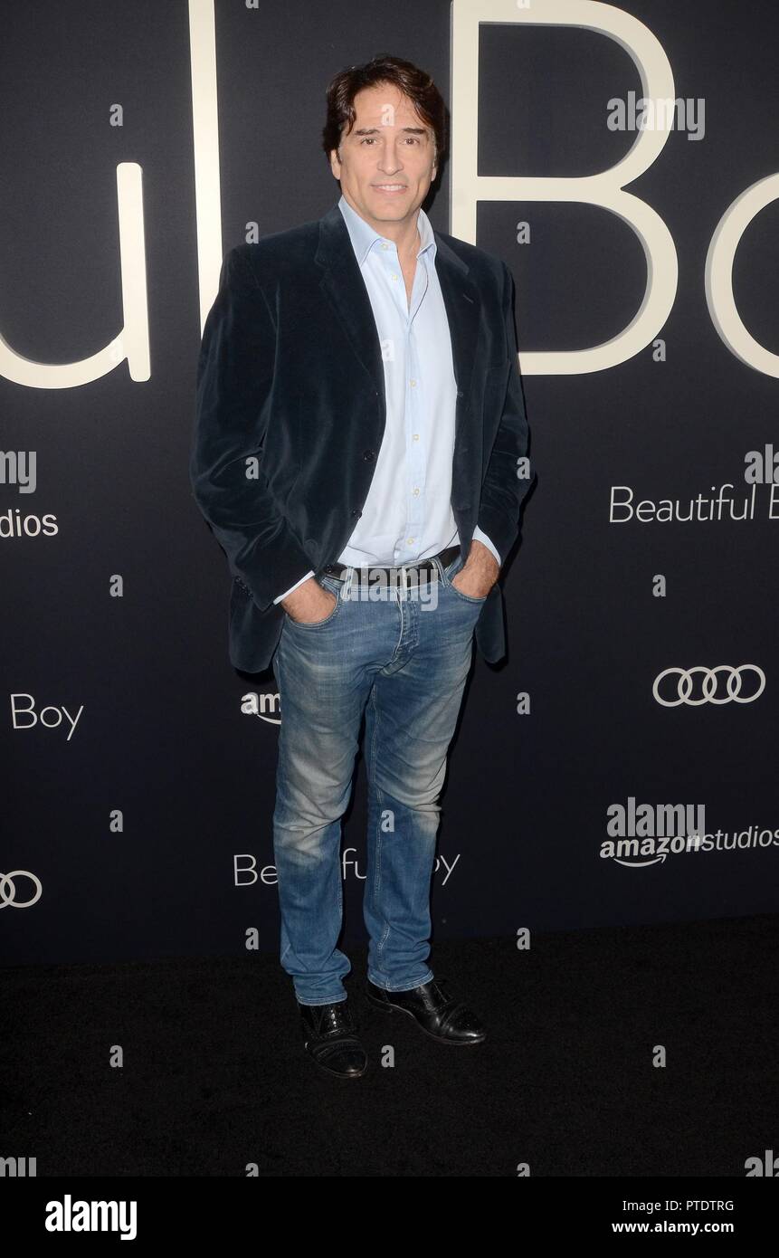 Los Angeles, CA, USA. 8th Oct, 2018. Vincent Spano at arrivals for ...