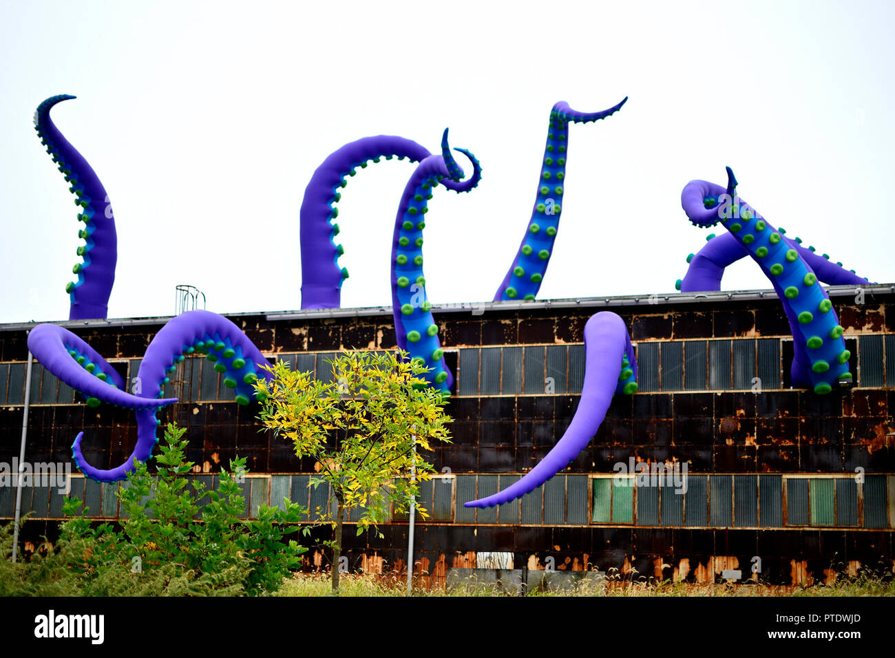 Filthy luke hi-res stock photography and images - Alamy