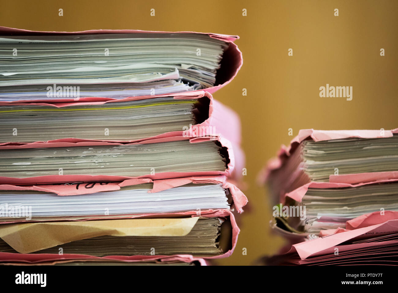 Cold Case Court File Folders