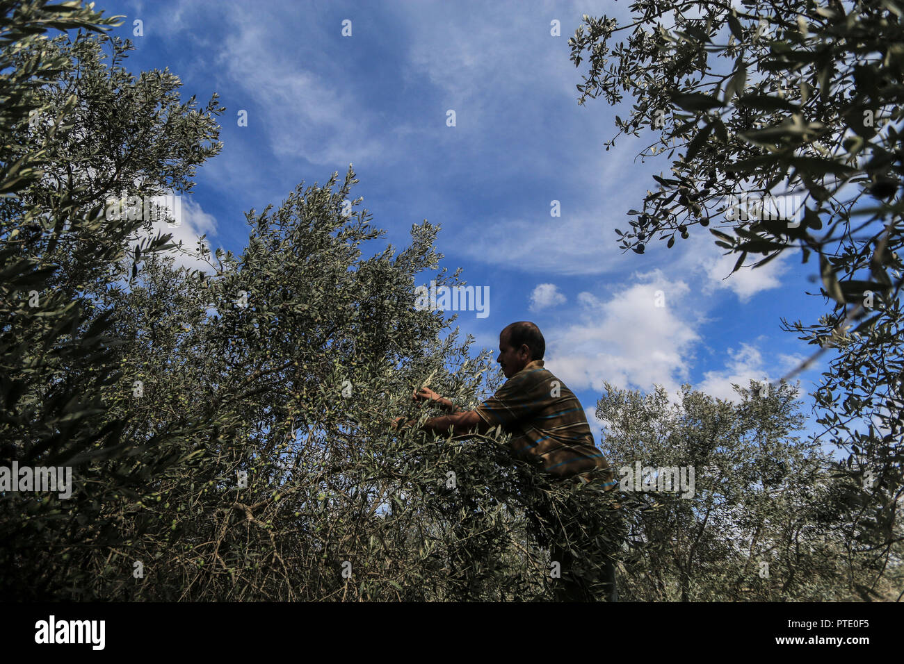 October 9, 2018 - Deir Al-Balah, The Gaza Strip, Palestine - A ...
