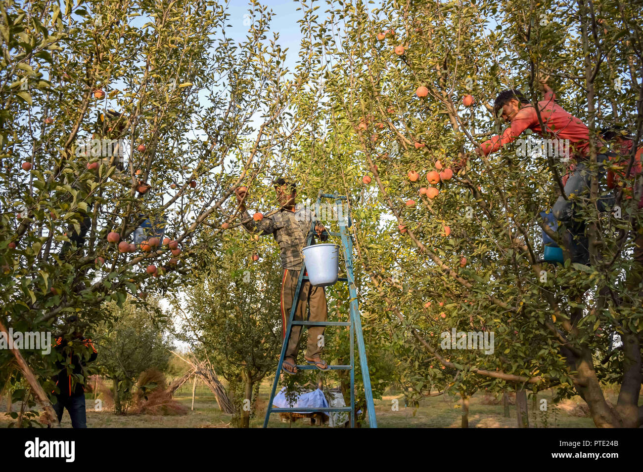October 9, 2018 - Srinagar, Jammu & Kashmir, India - A man seen ...