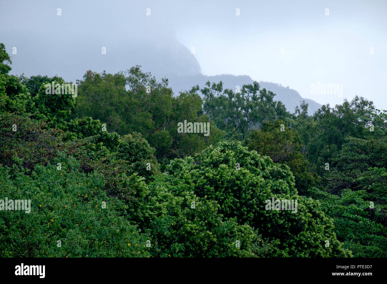 Hinchinbrook Island - The Thorsborne Trail - Zoe Bay Stock Photo - Alamy