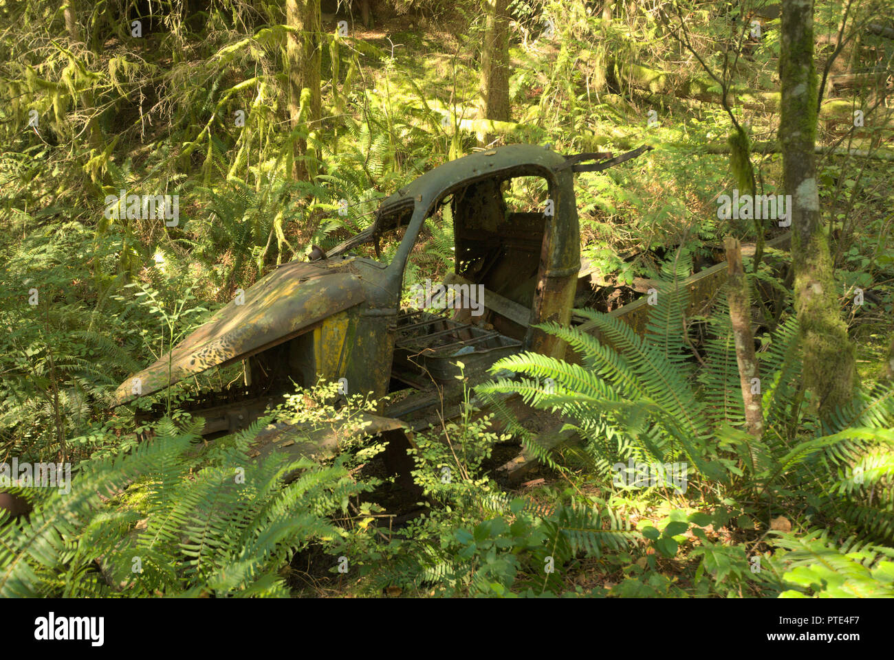 Human degradation hi-res stock photography and images - Alamy