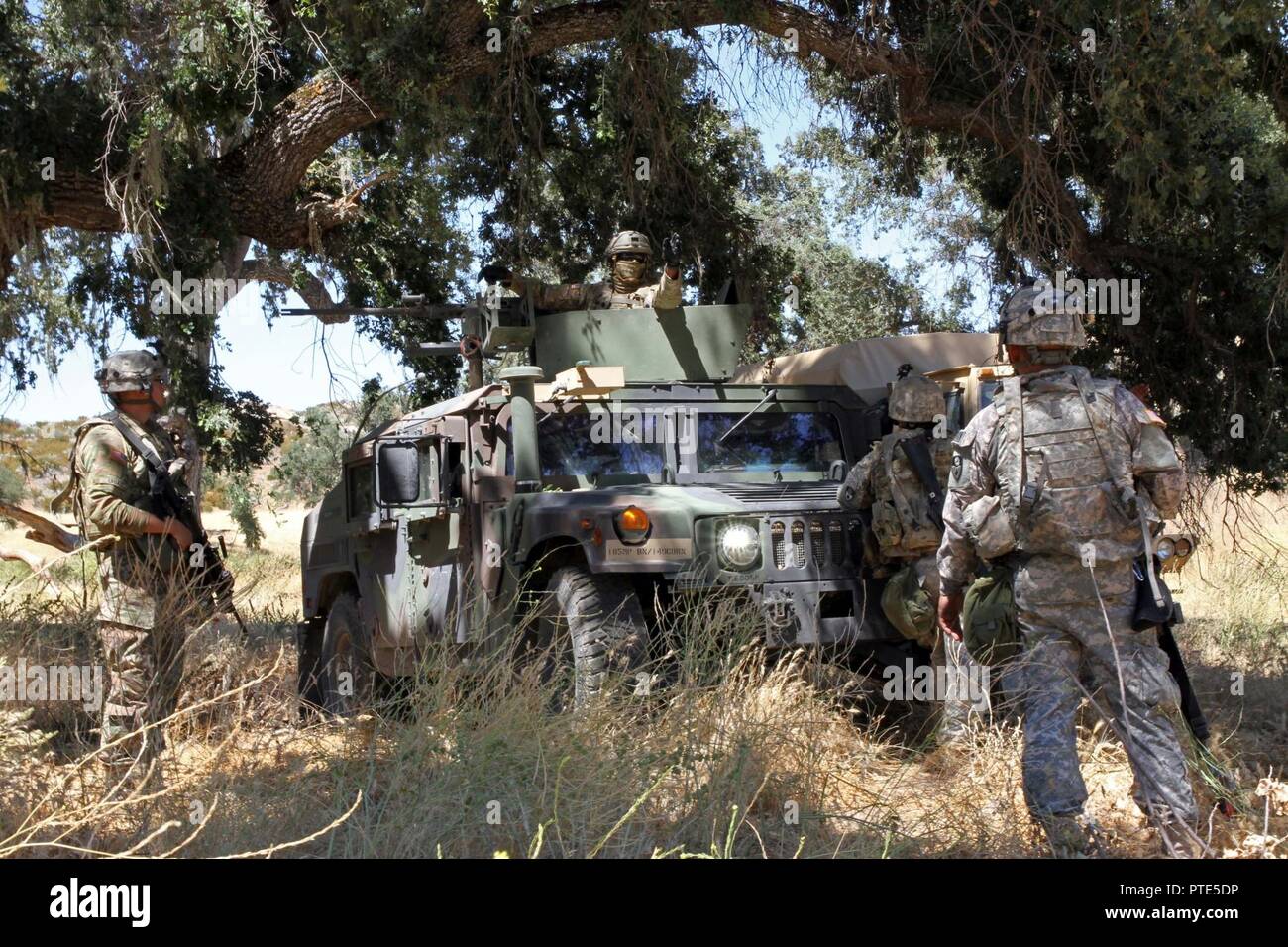49th Military Police Brigade Stock Photos & 49th Military Police ...
